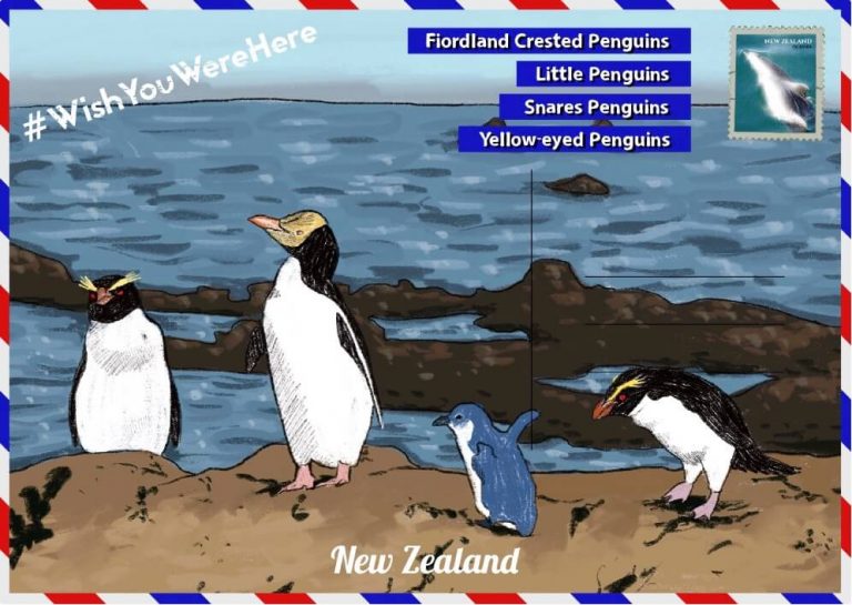 Where to See Penguins in their Natural Habitats